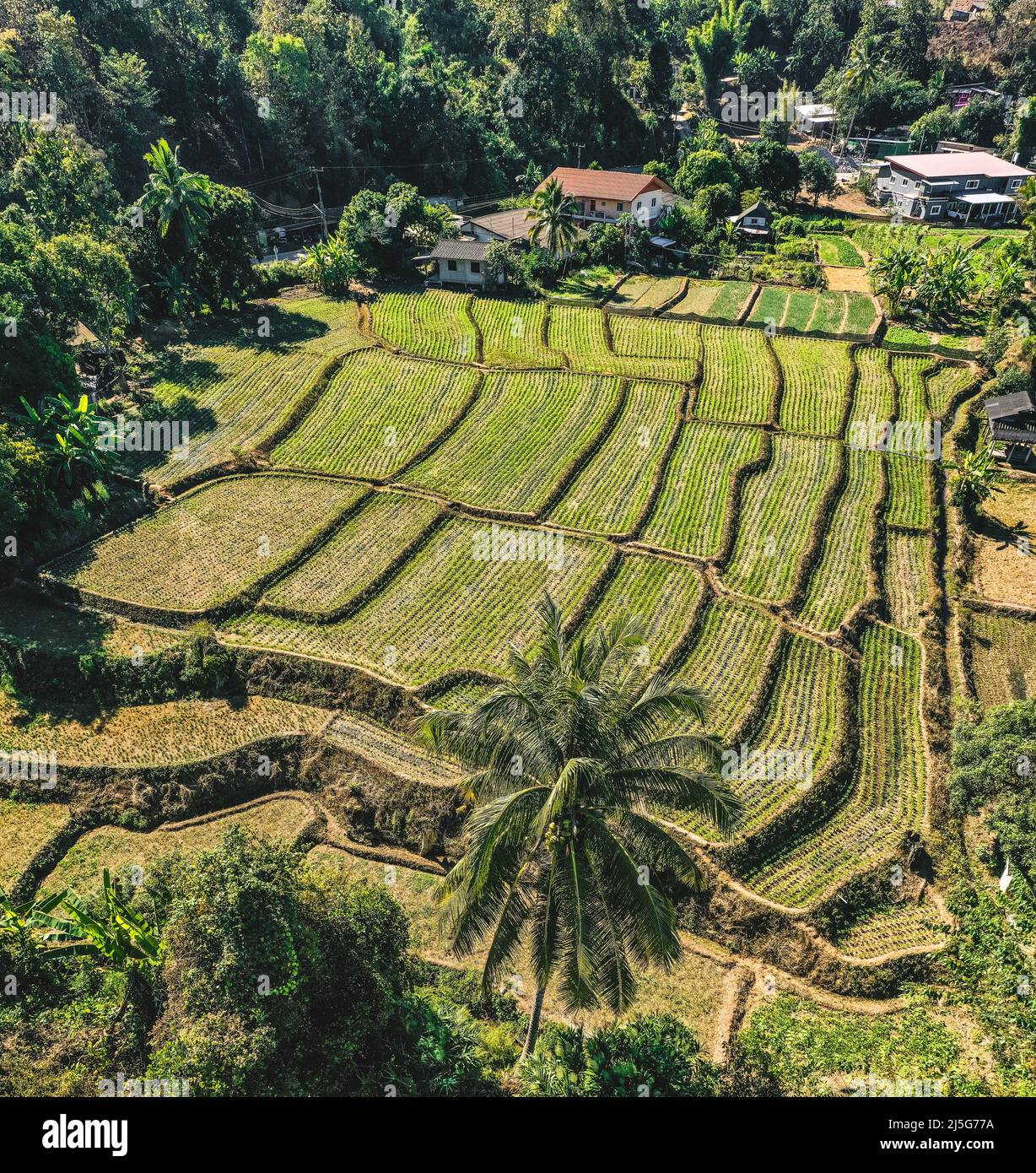 Aerial view of Mae La Noi rice terraces in Mae Hong Son, Thailand Stock ...