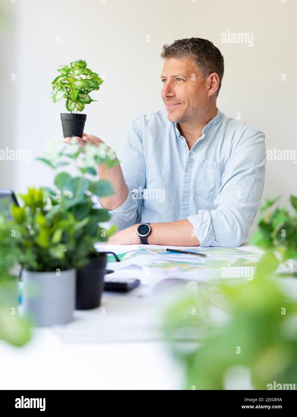 Landscape designer, gardener, architect with blue shirt sits at desk ...