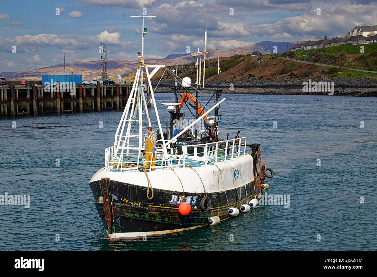 MALLAIG HARBOUR SCOTLAND THE LEE ROSE FISHING BOAT APPROACHING THE PIER ...
