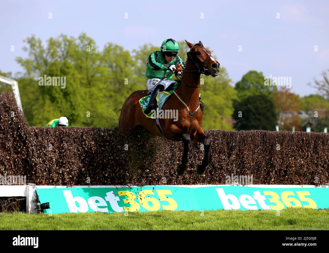 Hewick horse 2022 hi-res stock photography and images - Alamy