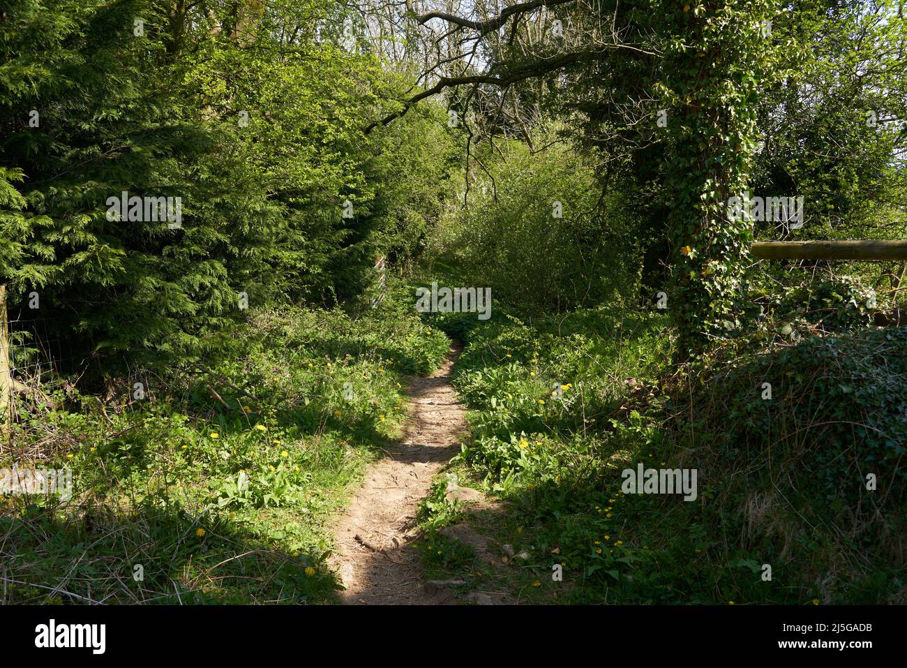 Countryside image near Crich, Derbyshire, UK Stock Photo - Alamy