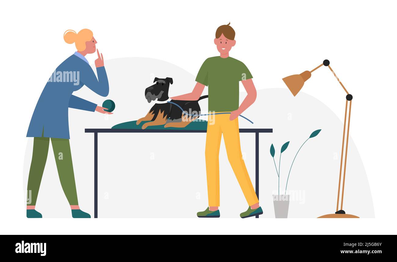 Dog owner at veterinarian consultation. Pet examination, vet doctor ...