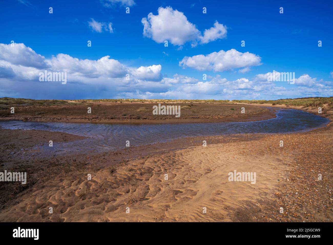 Holme next the sea bird hi-res stock photography and images - Alamy