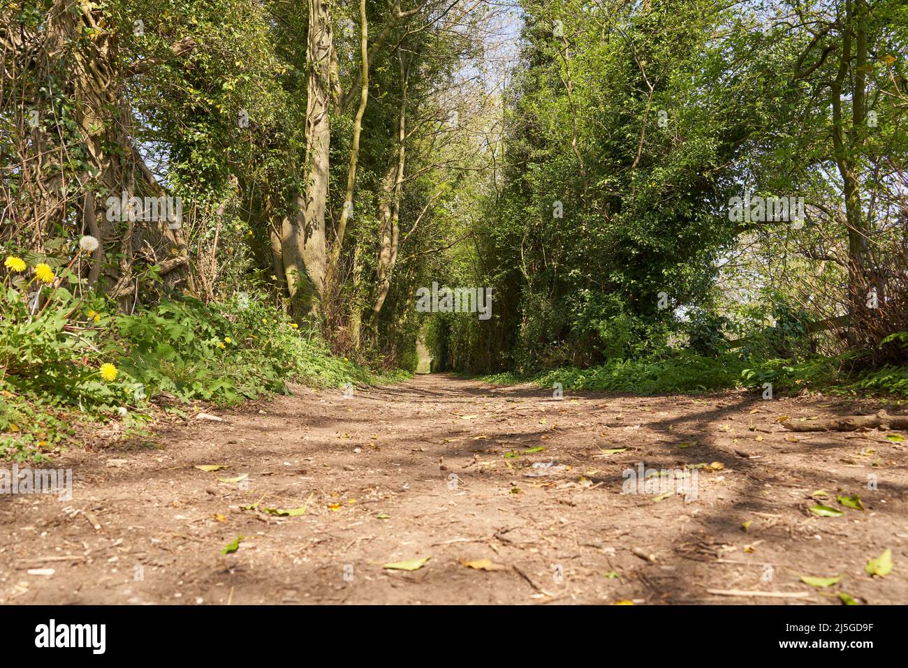 Ground level view hiking trail hi-res stock photography and images - Alamy