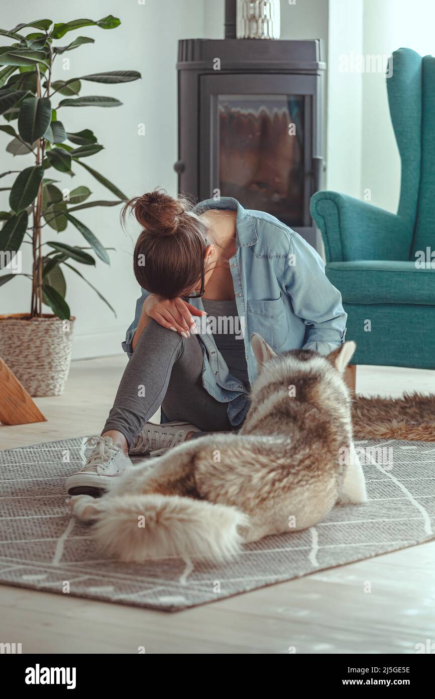 Tired Young woman raising and playing with her domestic dog Siberian ...