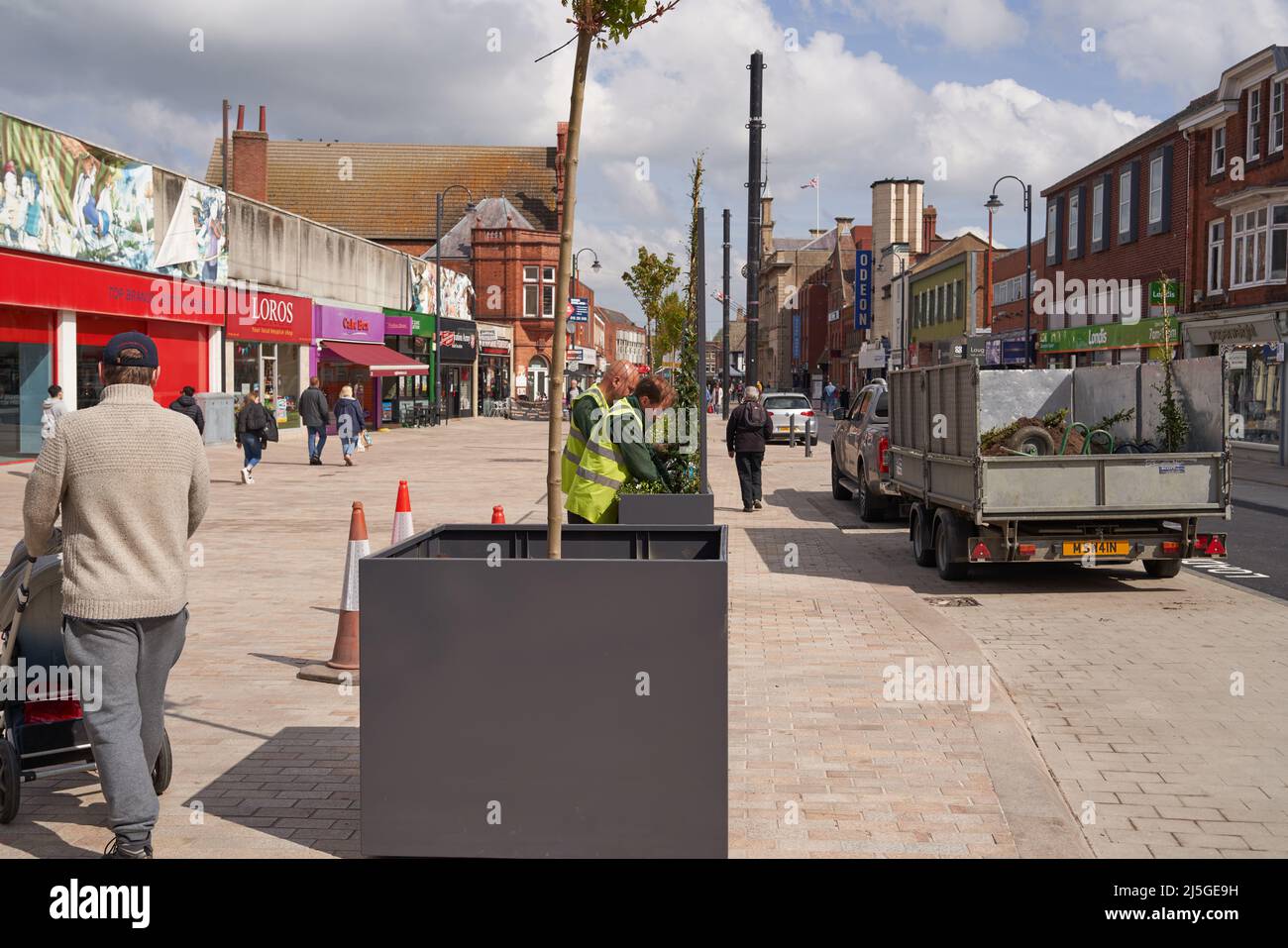 Council workers planting trees in a city center Stock Photo - Alamy