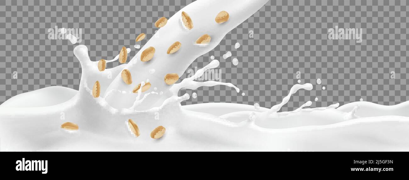 Vector 3d realistic milk with splashing drops and rolled oat grains ...