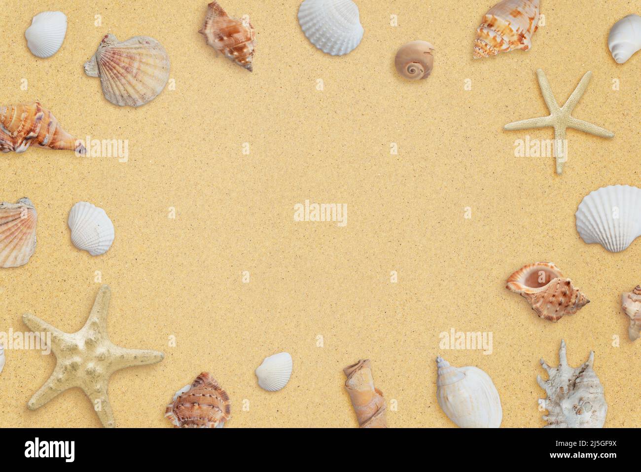 Beach composition with sea shells with copy space in the middle for ...