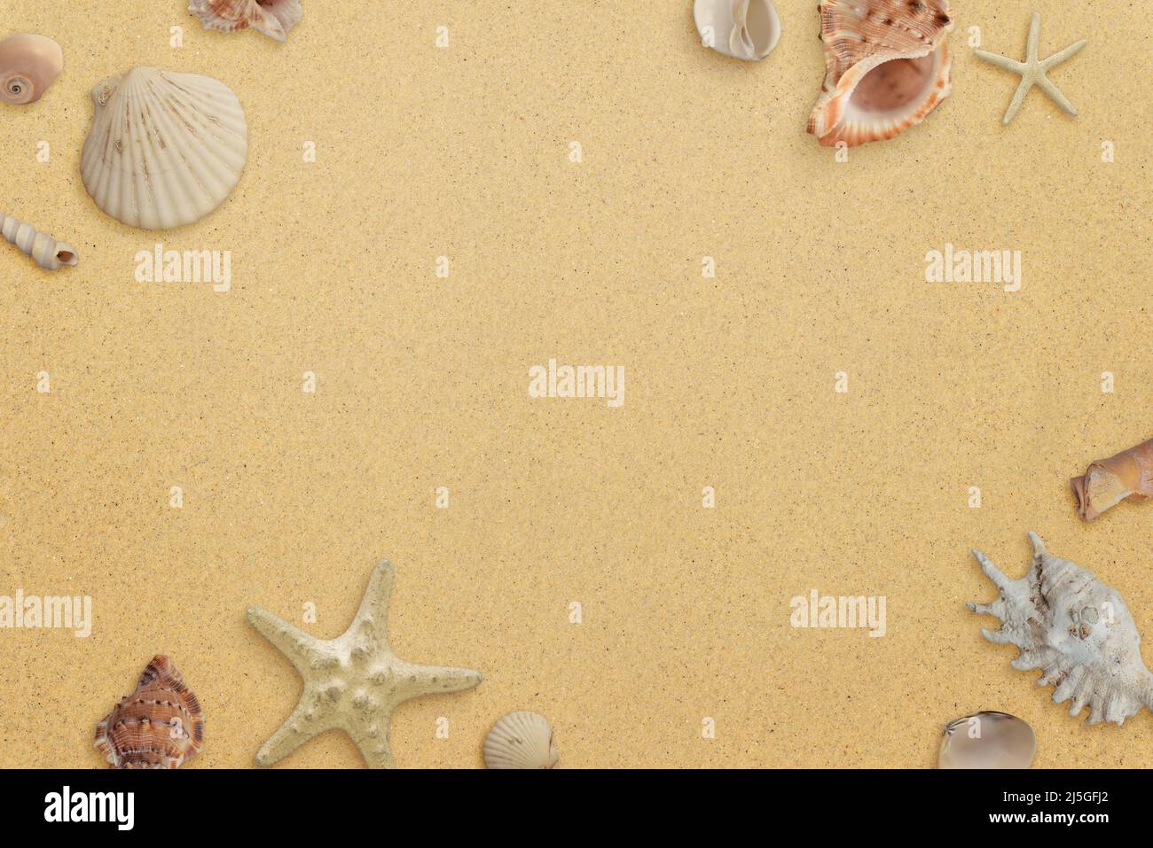 The composition of shells hi-res stock photography and images - Alamy