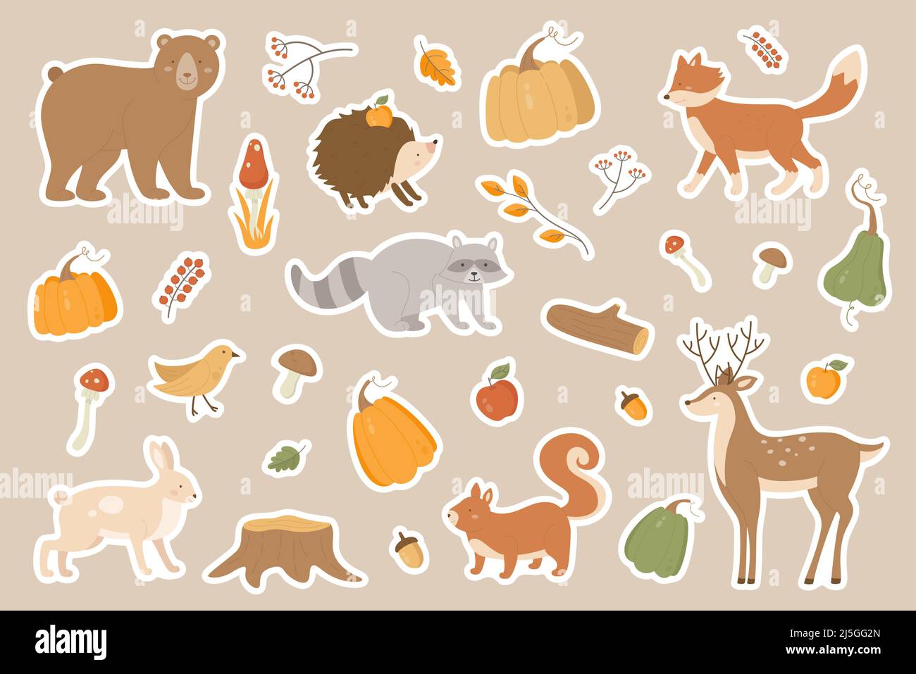 Oak hare hi-res stock photography and images - Alamy