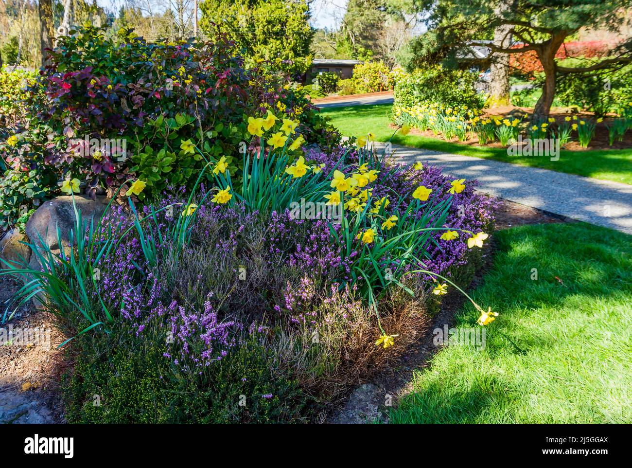 Lush Spring garden in Normandy Park, Washington Stock Photo - Alamy