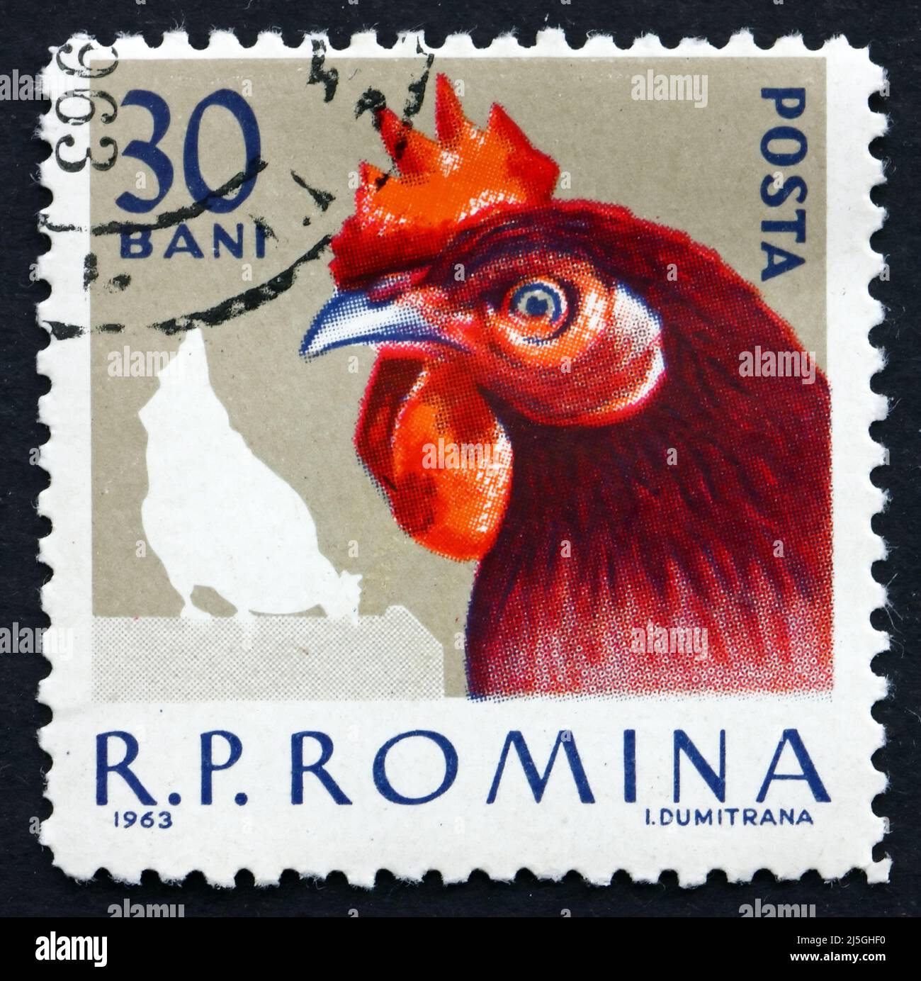 ROMANIA - CIRCA 1963: a stamp printed in the Romania shows Hen, Gallus ...