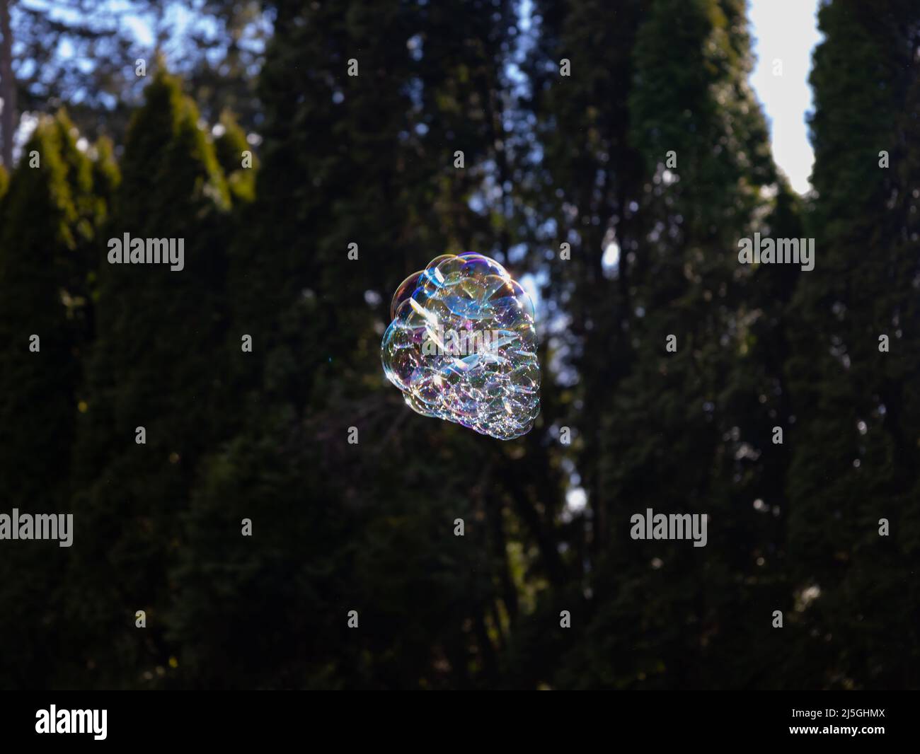 Amazing bubble cluster reflecting light of sun outdoors Stock Photo - Alamy