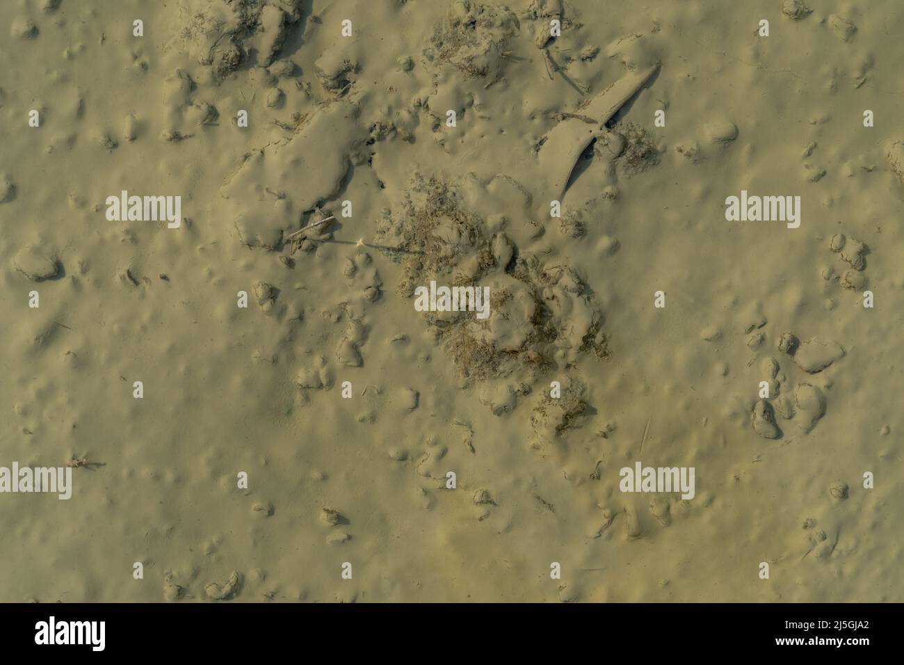 A bumpy wet gravel road after the rain, texture Stock Photo - Alamy