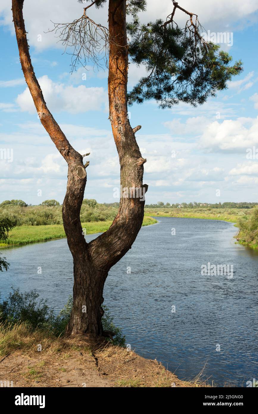 Banks of the berezina river hi-res stock photography and images - Alamy