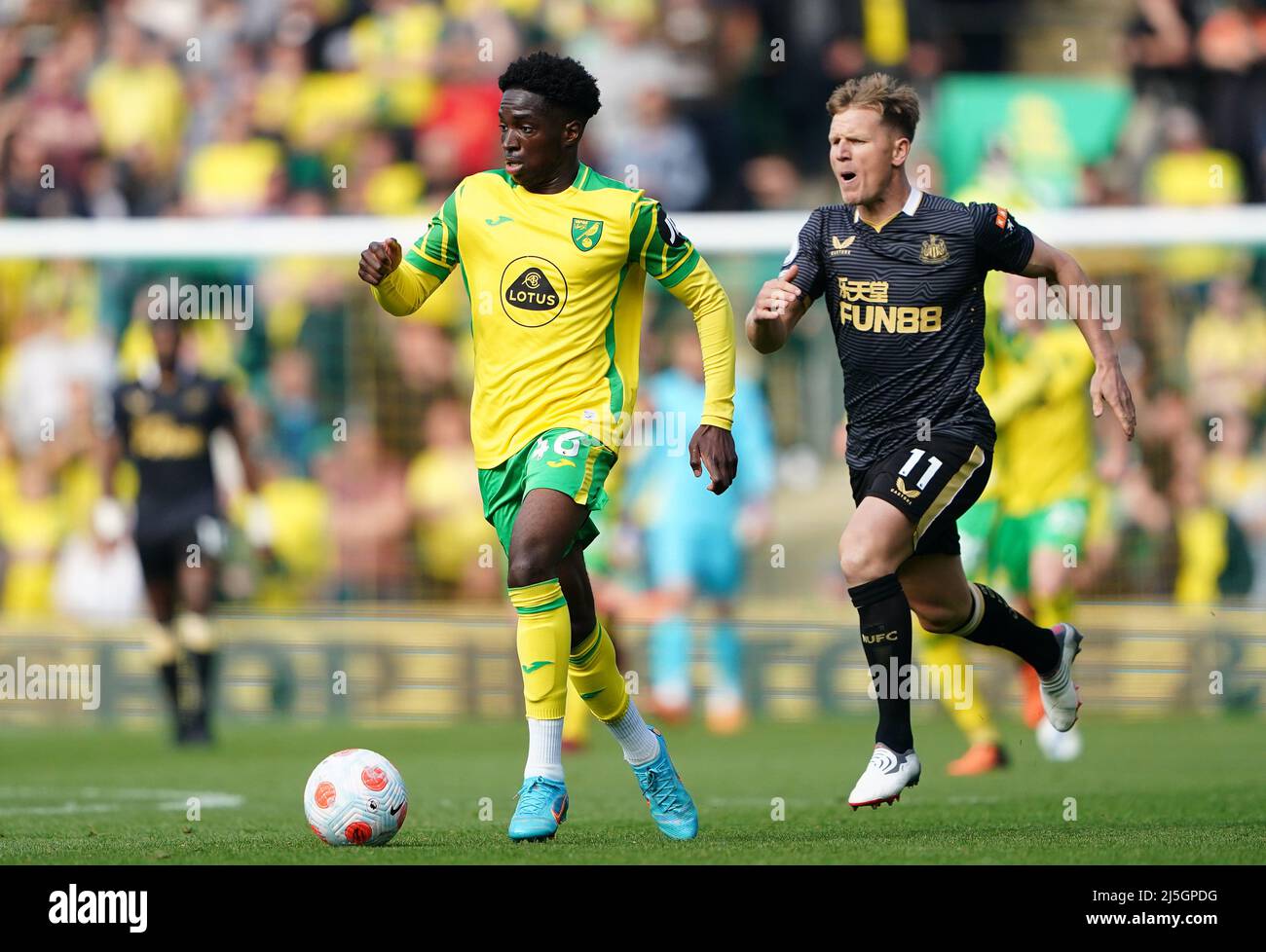 Jonathan rowe hi-res stock photography and images - Alamy