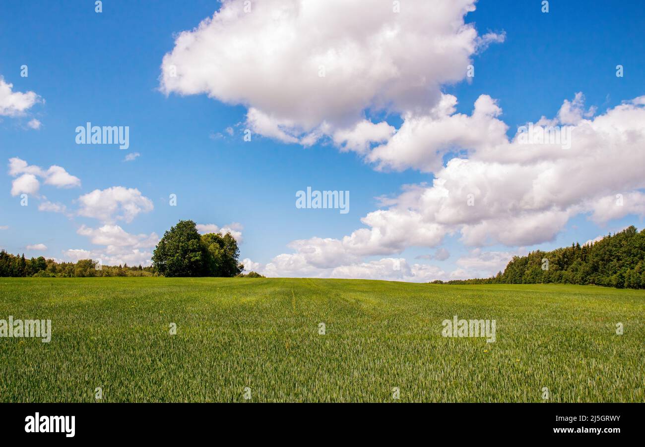 Cumulus clouds over prairie hi-res stock photography and images - Alamy