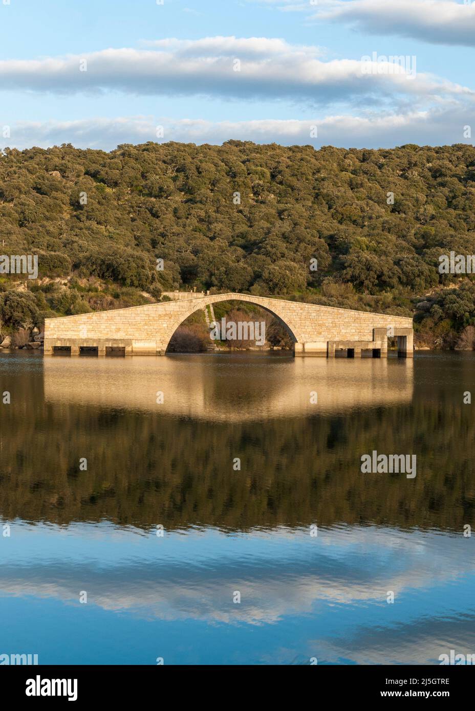 Roman bridge of Guijo De Granadilla over the Alagon river, vertical ...
