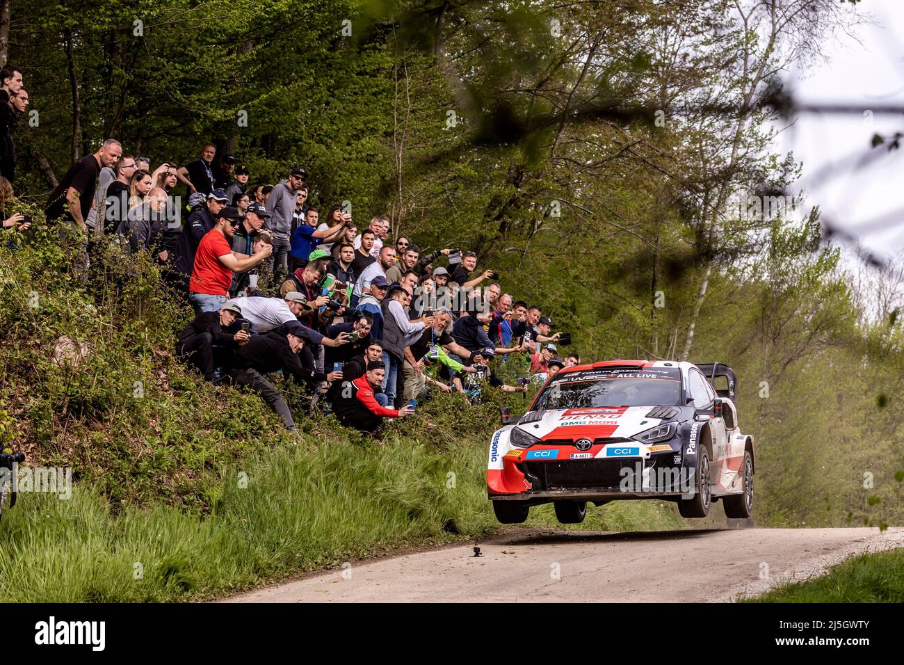 33 EVANS Elfyn (gbr), MARTIN Scott (gbr), Toyota Gazoo Racing WRT, Toyota GR Yaris Rally 1 ...