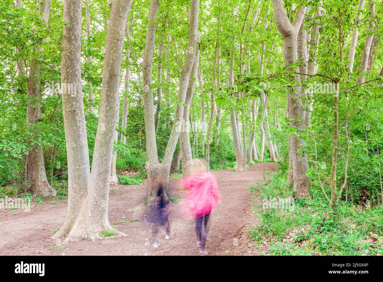 Els Gallecs, Natural Reserve, Mollet del Vallés Vallés Oriental ...