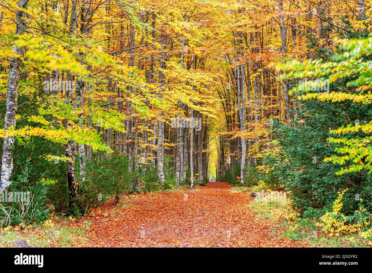Valley de roncal hi-res stock photography and images - Alamy