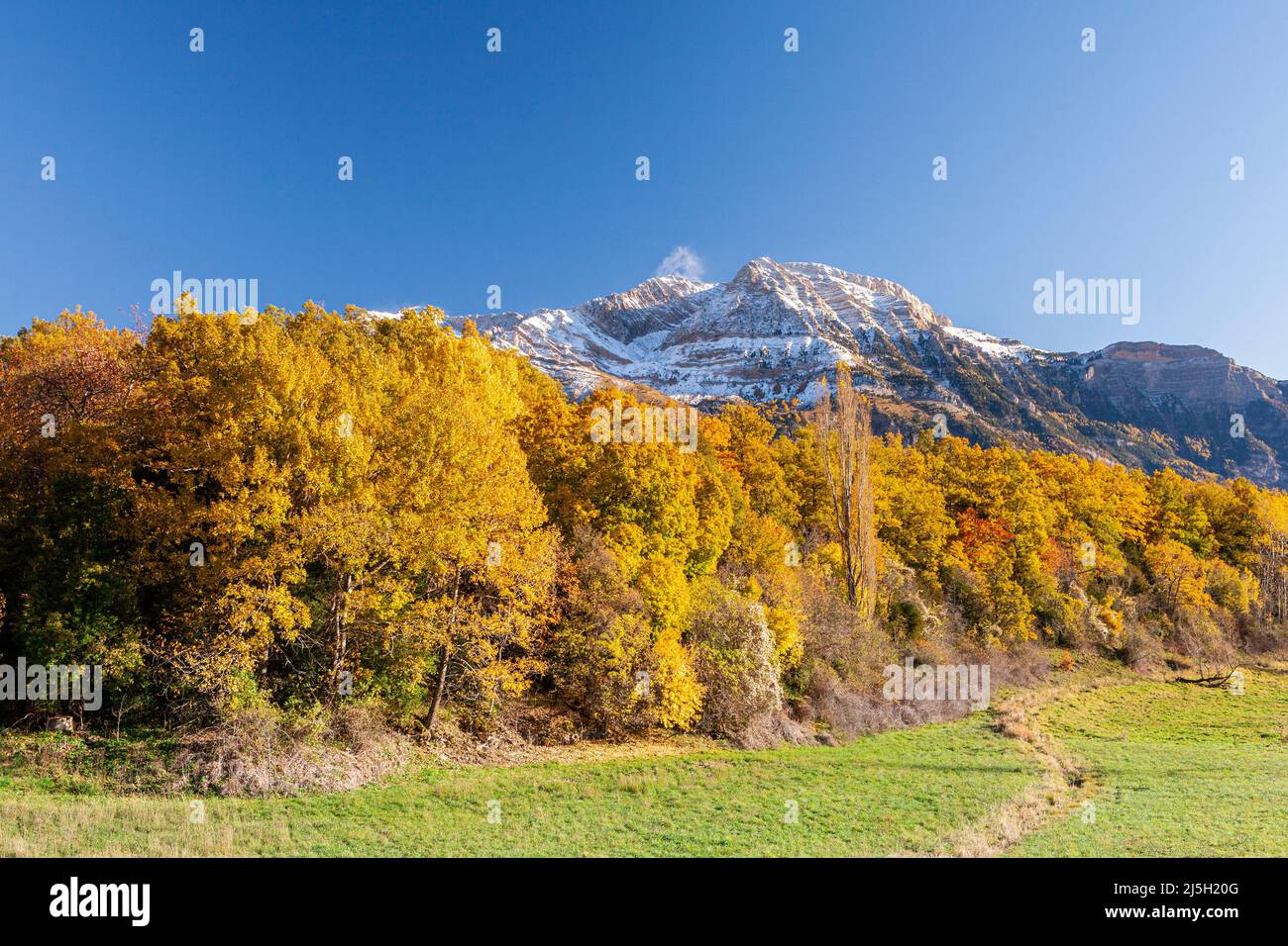 Betato forest in Piedrafita de Jaca and Partacua mountain range, Huesca ...