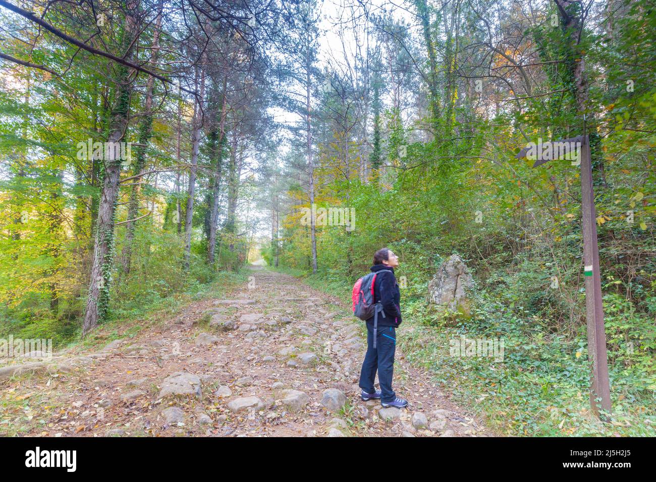 Roman way hi-res stock photography and images - Alamy