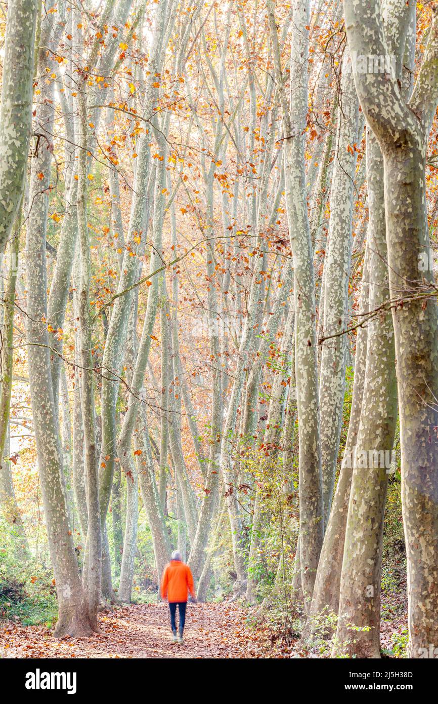 Els Gallecs, Natural Reserve, Mollet del Vallés Vallés Oriental ...