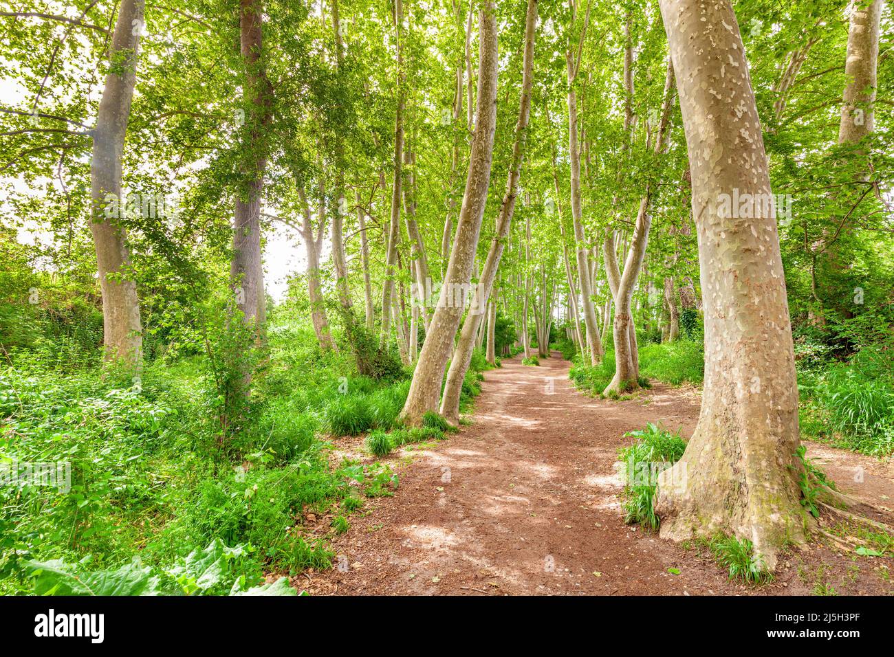 Els Gallecs, Natural Reserve, Mollet del Vallés Vallés Oriental ...