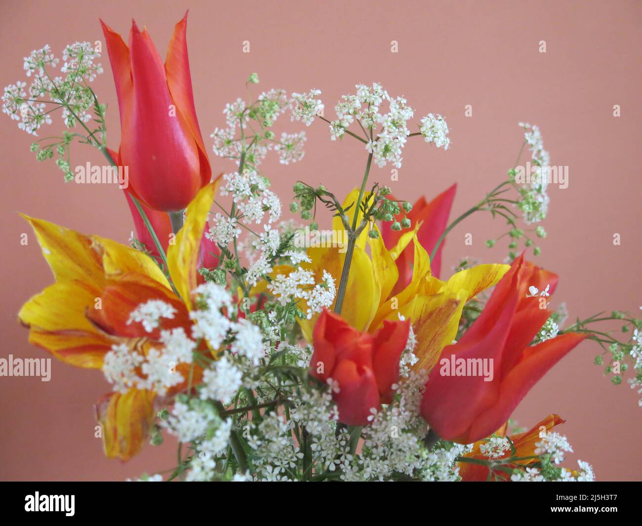 A frothy spring flower arrangement with white cow parsley providing the ...