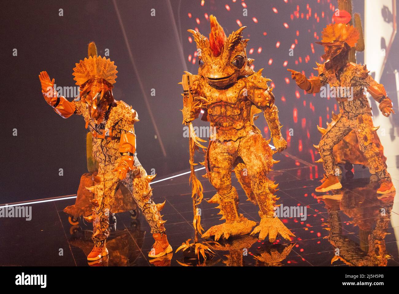 Devil thorn hi-res stock photography and images - Alamy