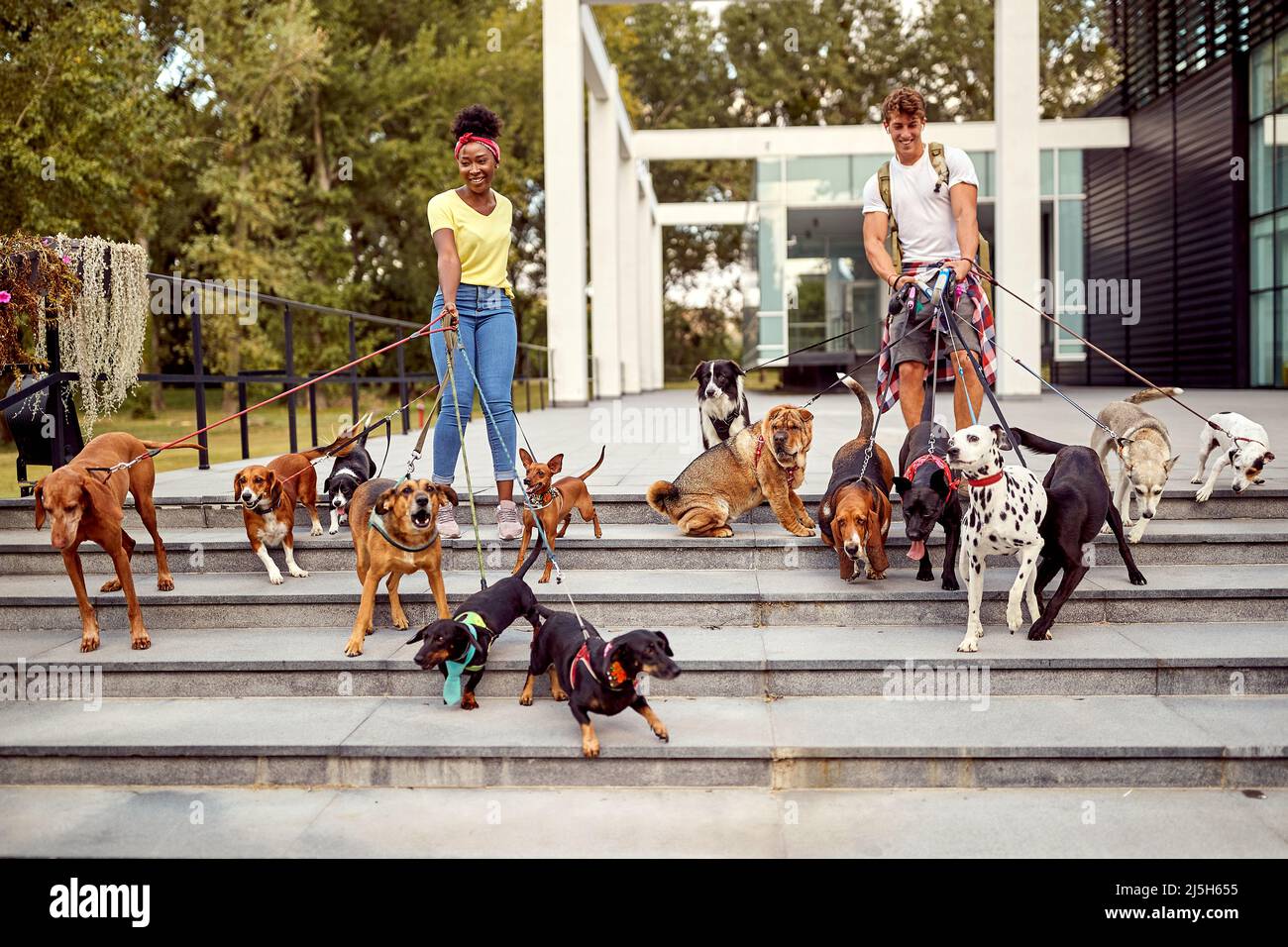Professional dog walker people enjoying with dogs while walking ...