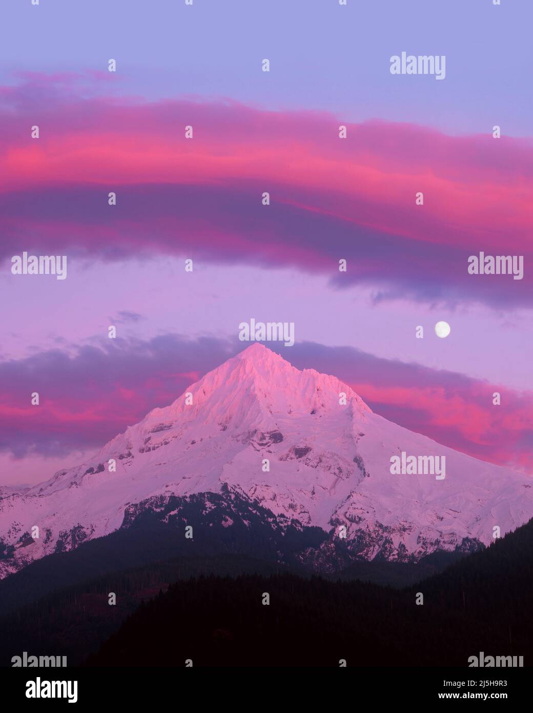 Mt Hood, Cascade Range, Oregon Stock Photo - Alamy