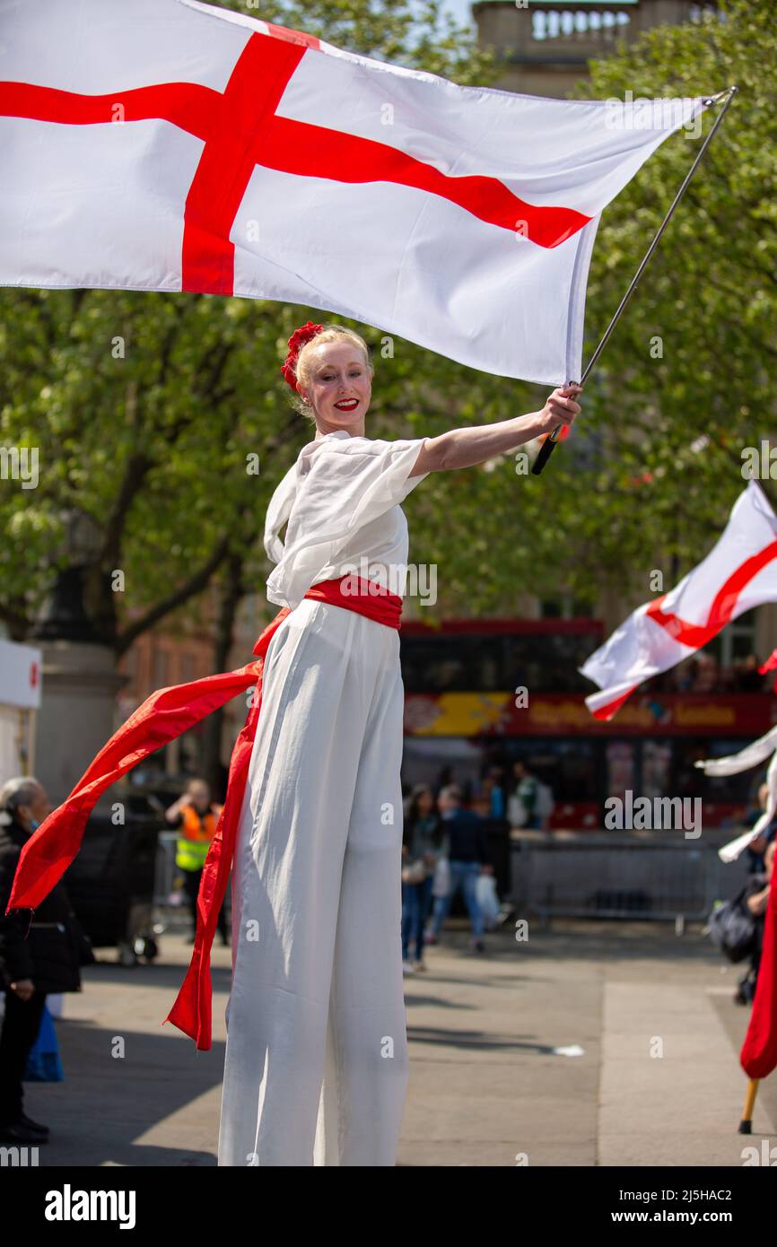 An Entertainer on stilts holds an English flag at the Saint George's ...
