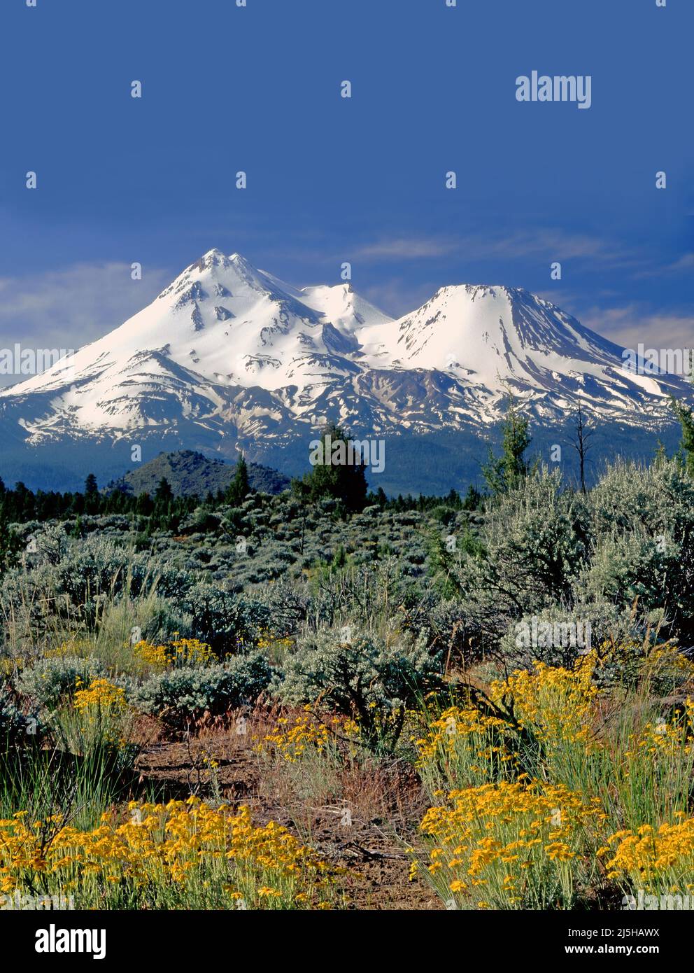Mt shasta shastina hi-res stock photography and images - Alamy
