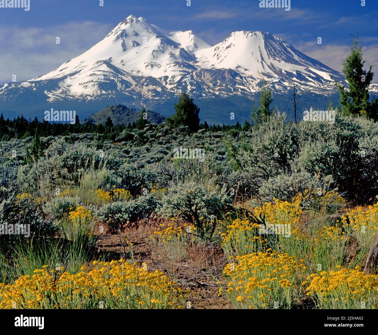 Mt. Shasta, Cascade Range, California Stock Photo - Alamy