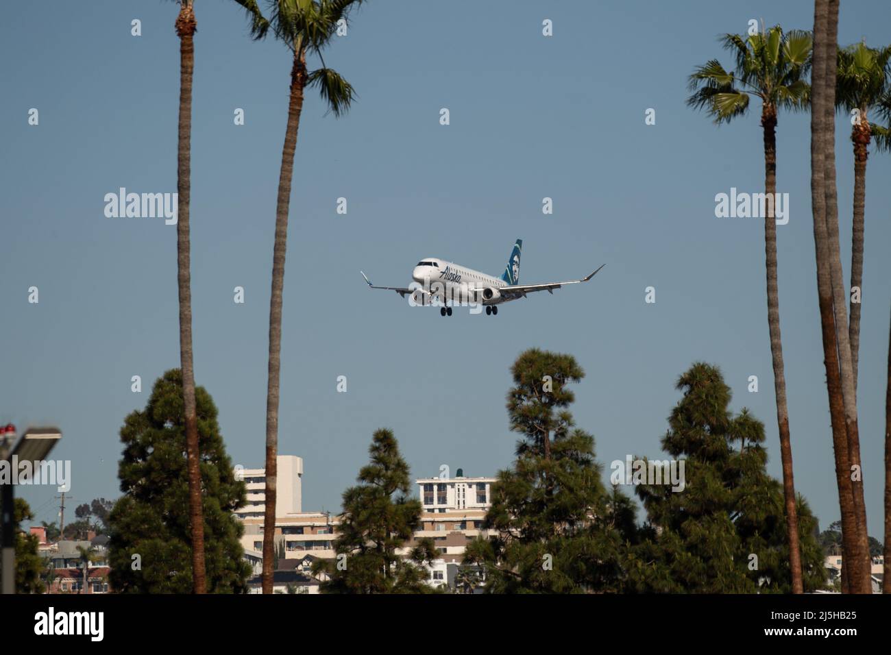 Alaska Airlines Embraer E175LR airliner framed between the palm trees ...