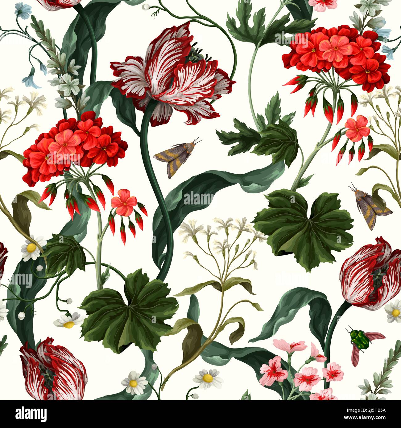 Geranium geraniums Stock Vector Images - Alamy