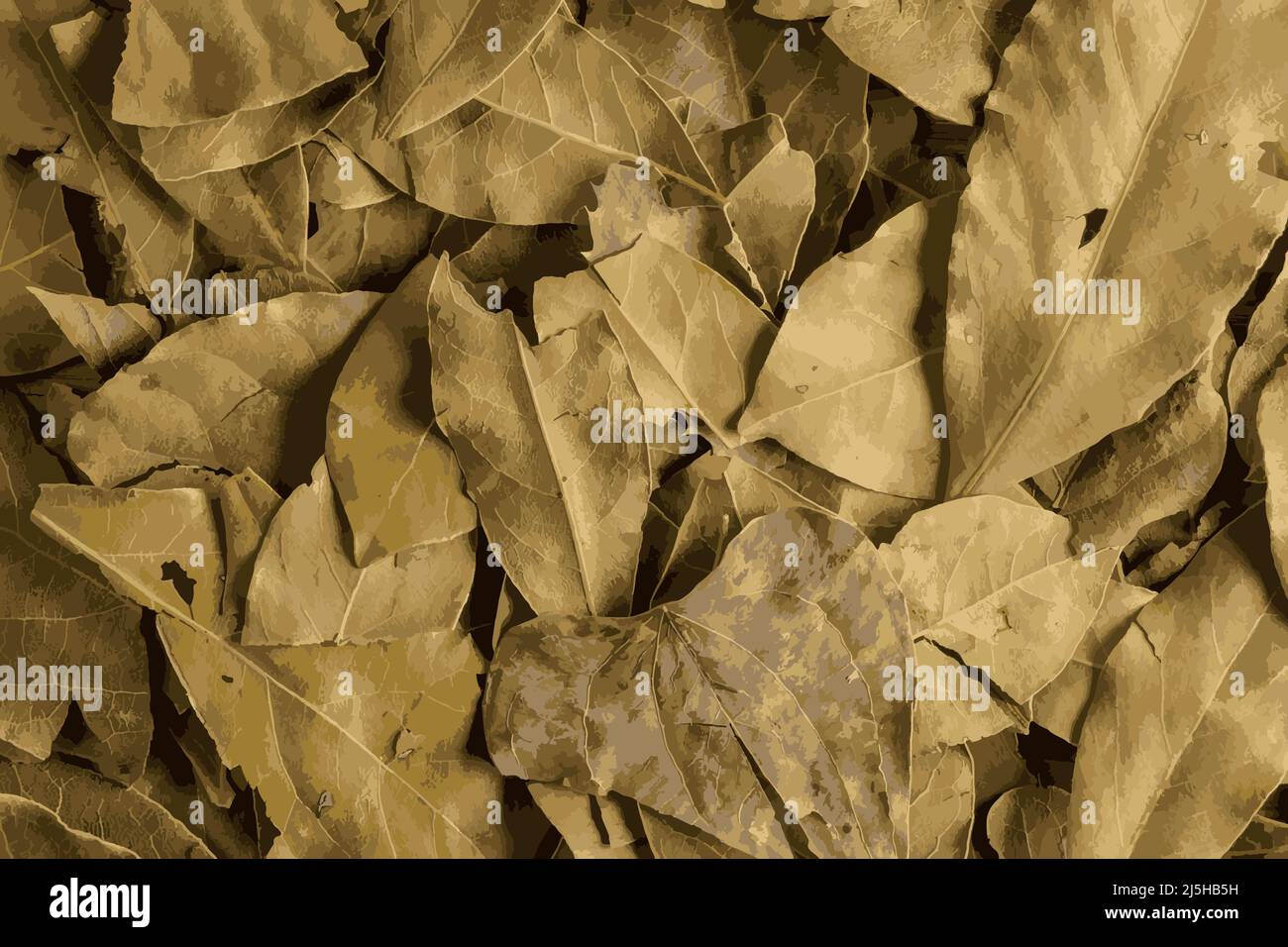 Realistic illustration of laurel leaves texture. Bay leaf background ...