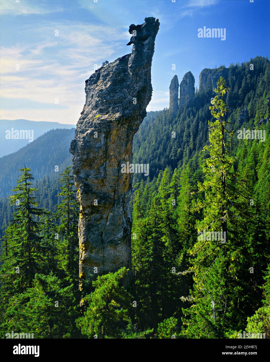 Volcano rabbit hi-res stock photography and images - Alamy