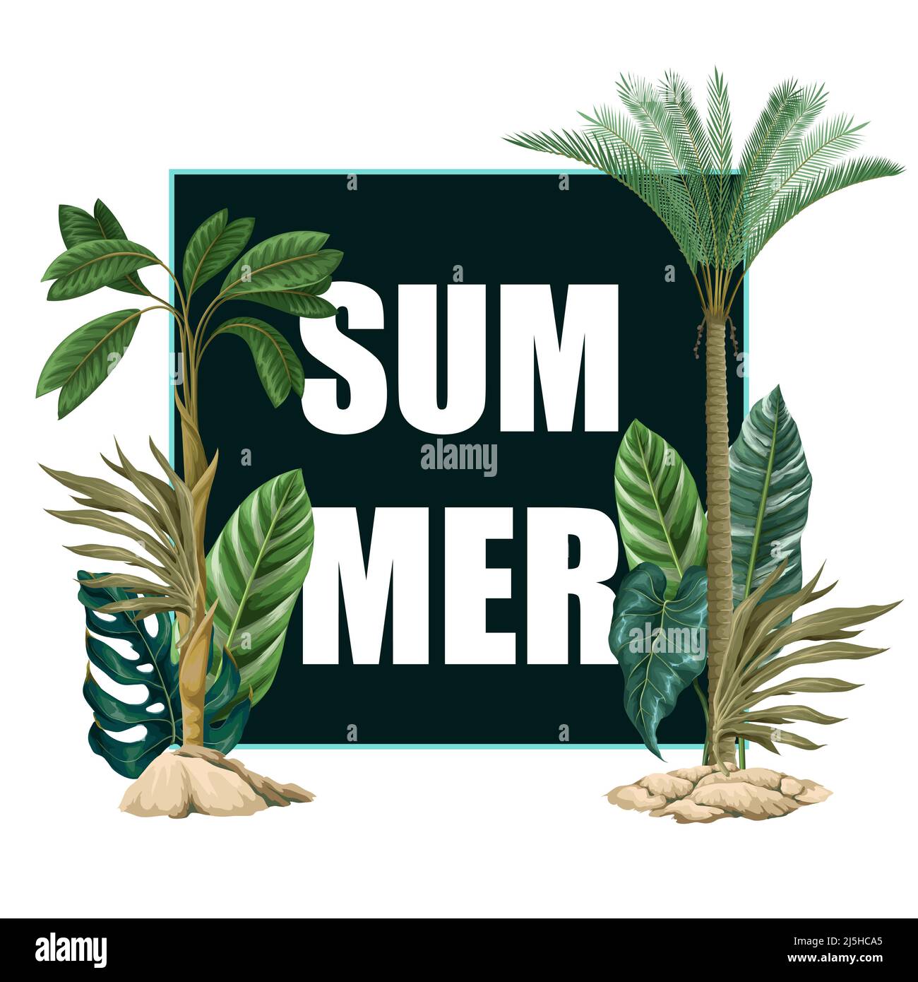Poster with tropical leaves and trees. Vector Stock Vector Image & Art ...