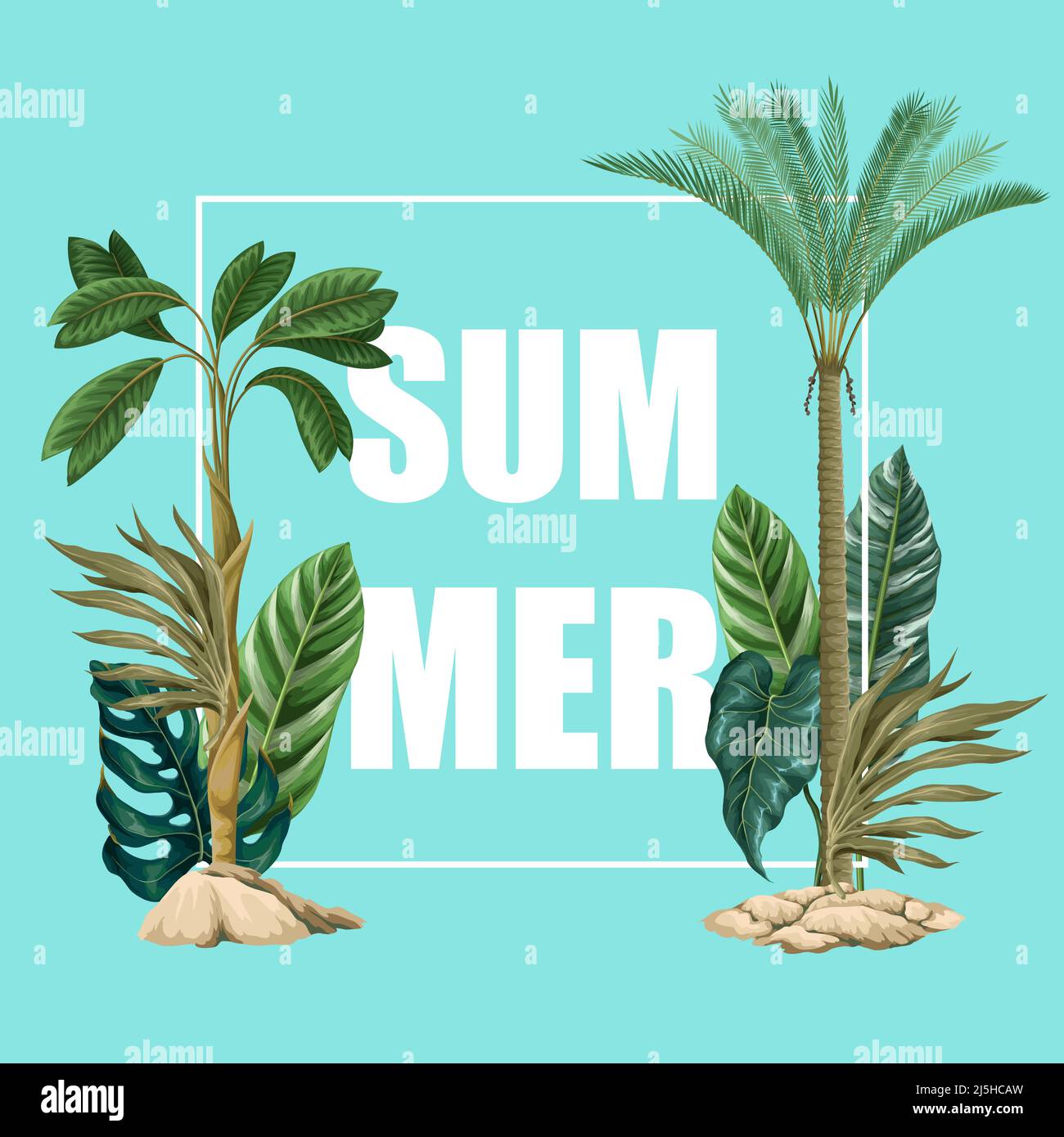 Poster with tropical leaves and trees. Vector Stock Vector Image & Art ...