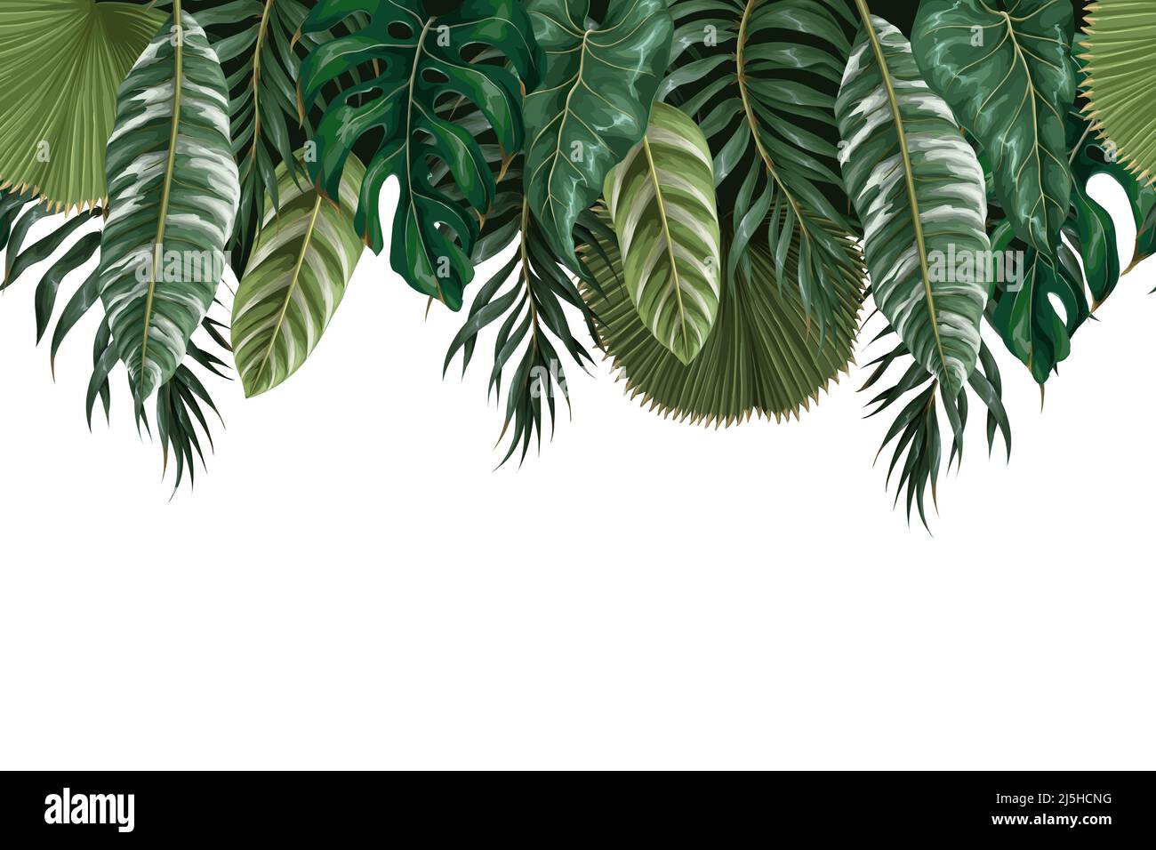 Border with tropical leaves such as monstera, palm leaf and other ...