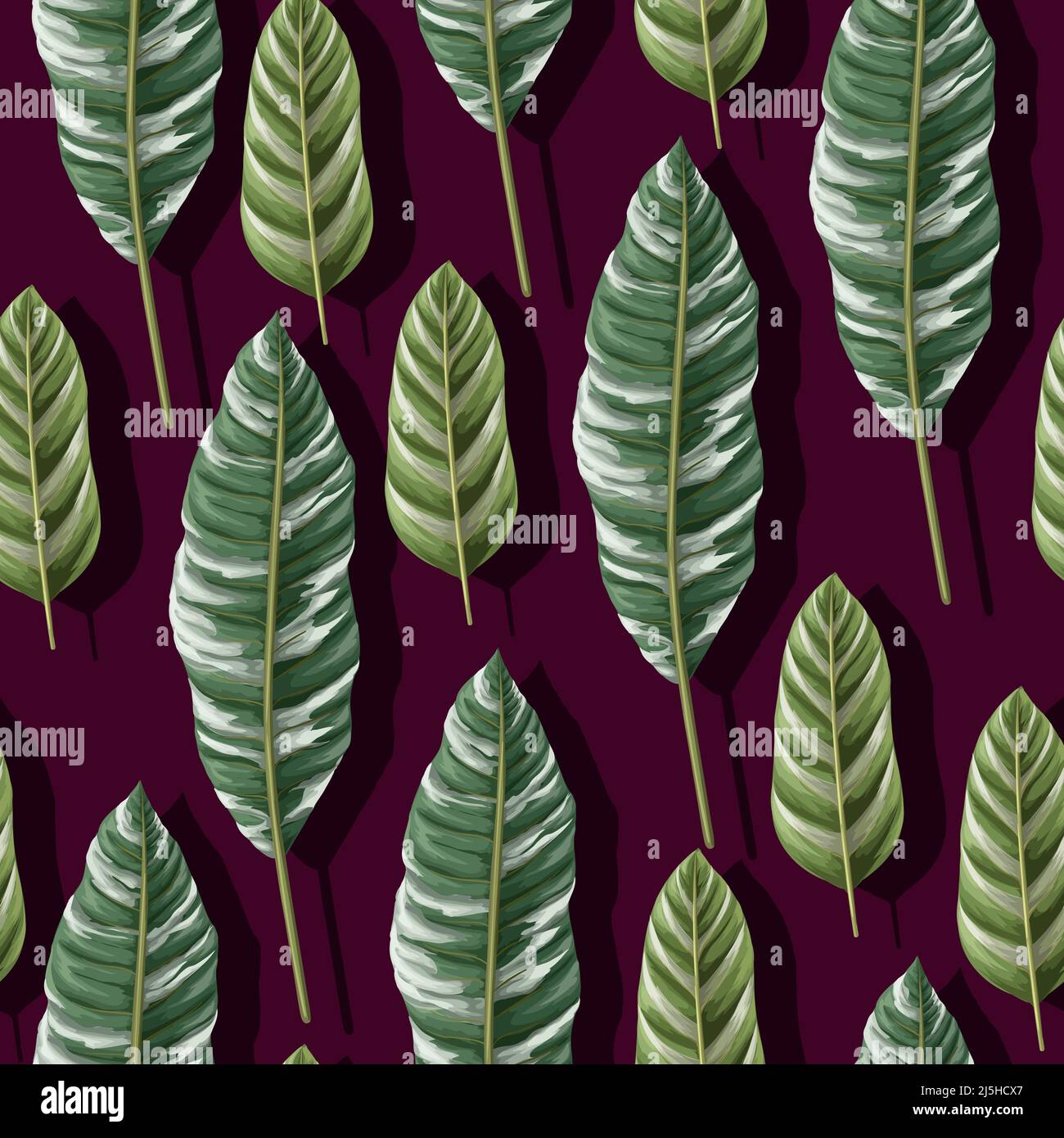 Seamless pattern with tropical striped leaves. Vector Stock Vector ...