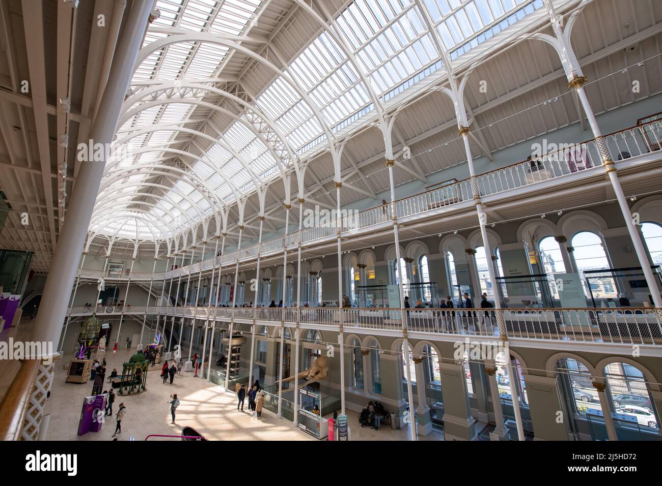 National museum scotland natural history hi-res stock photography and ...