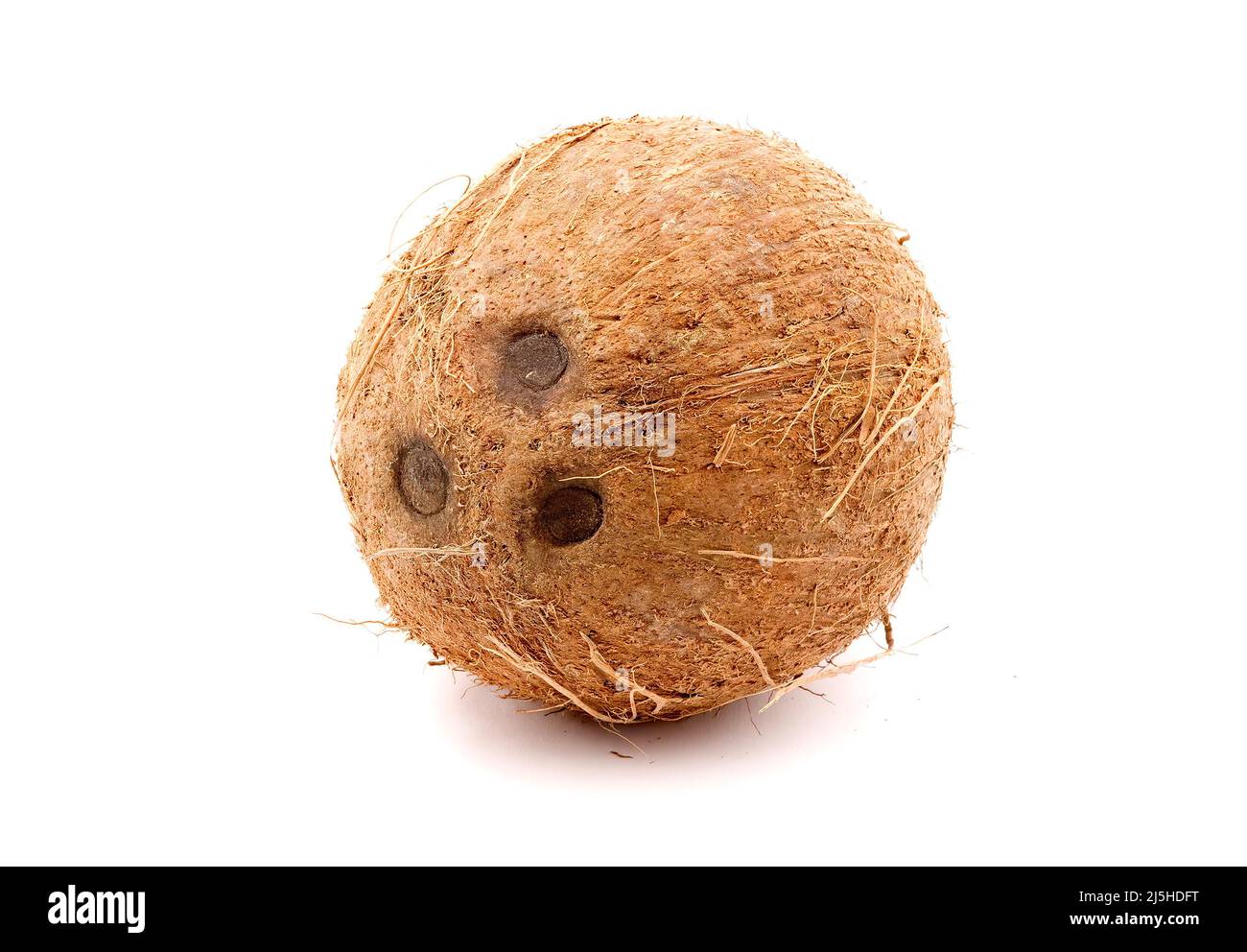 Coconut copra Cut Out Stock Images & Pictures - Alamy