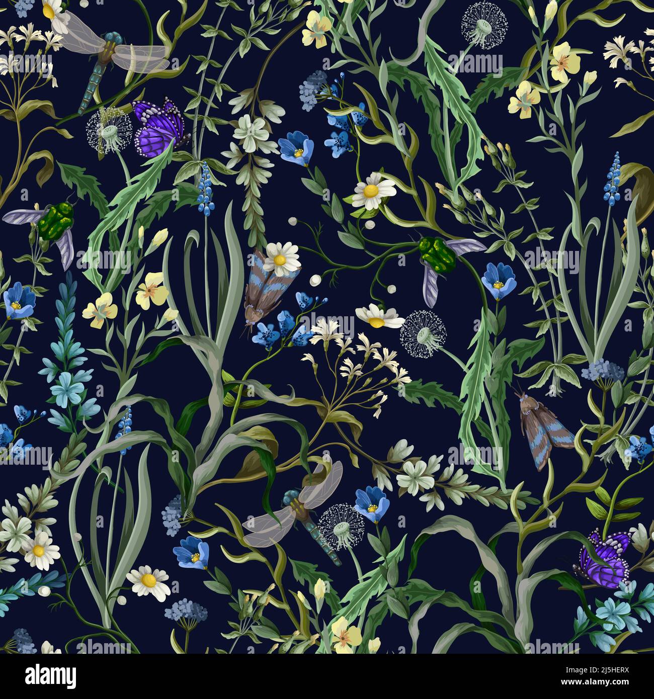 Seamless pattern with wild flowers and bugs. Vector Stock Vector Image ...