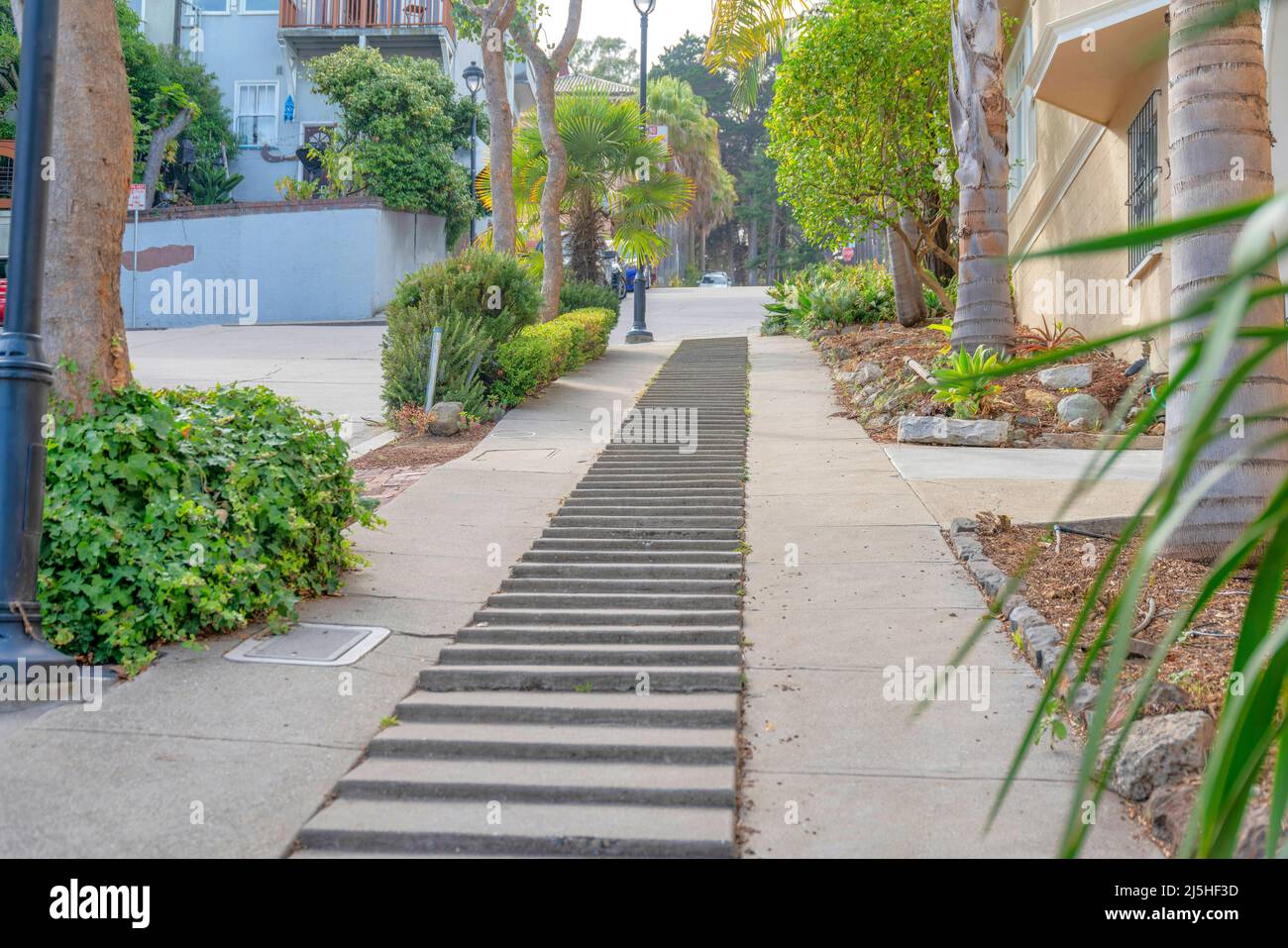 Pathway with layered concrete ground in the middle at San Francisco ...