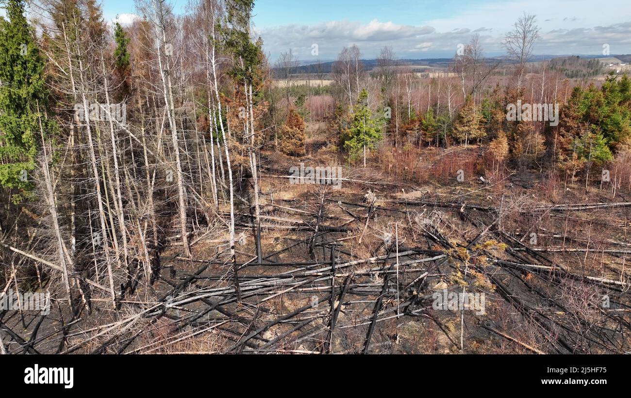 Forest after fire flame drone aerial video wild drought dry black earth ...