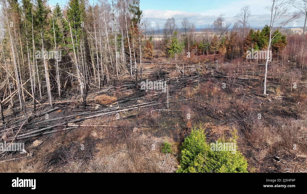 Forest after fire flame drone aerial video wild drought dry black earth ...
